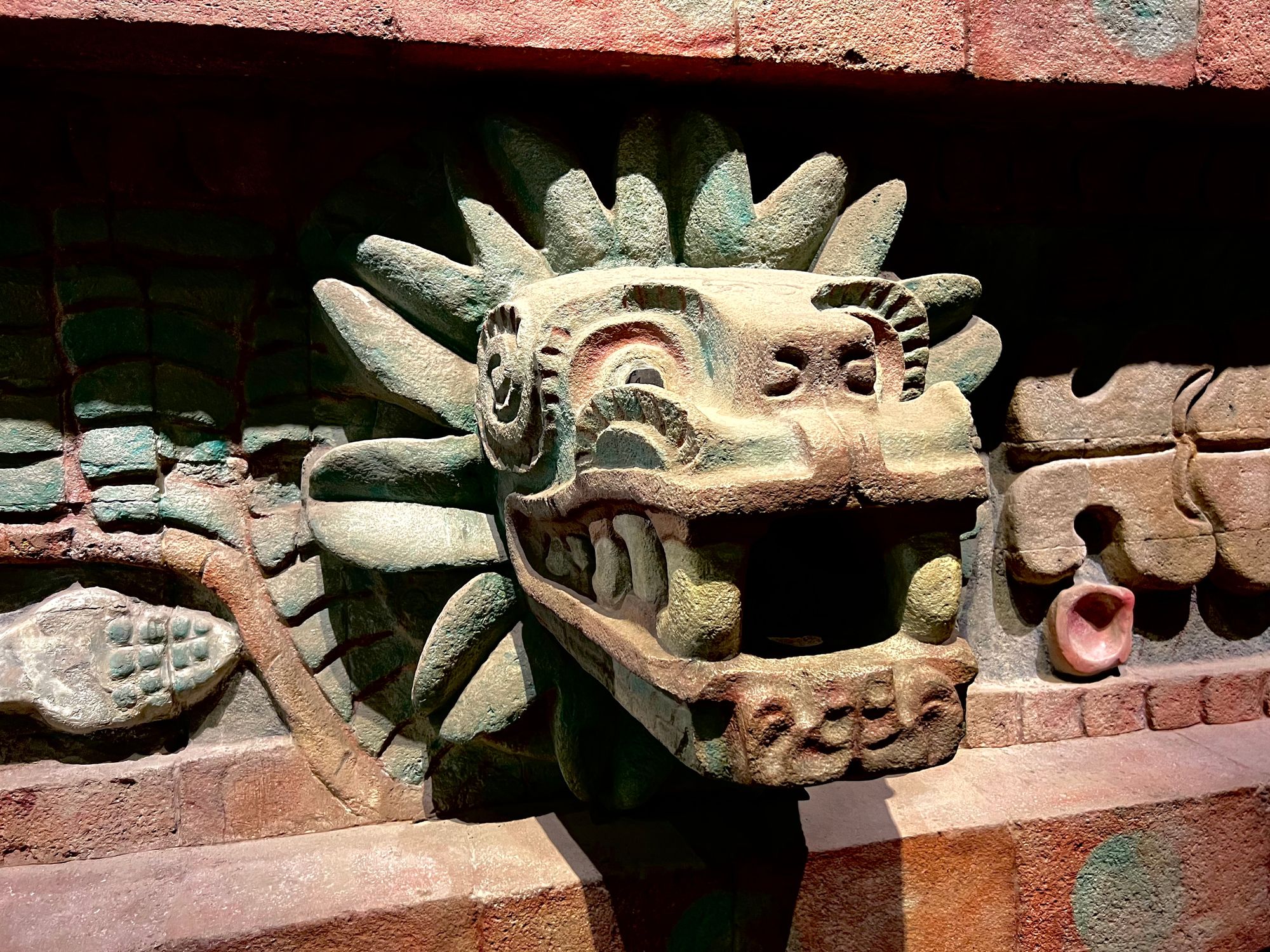 The Secrets of Maya's Chukum and Jiote Trees: Unveiling the Mystery of ...
